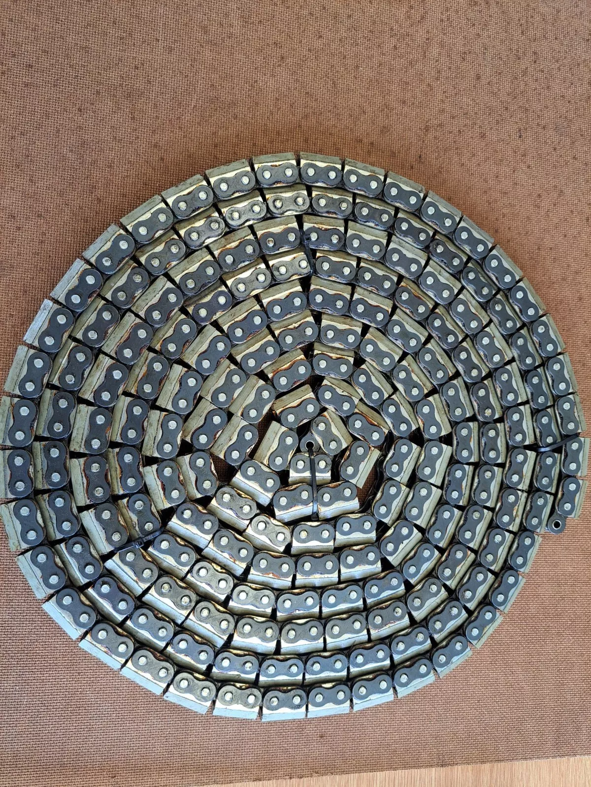 FERAG TTR PICK UP STATION CHAIN (5 Meters Length) - The Printers ...